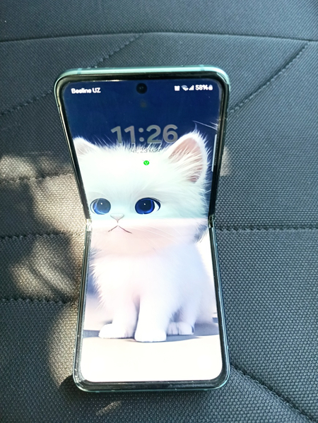 Samsung z flip 3 256/8