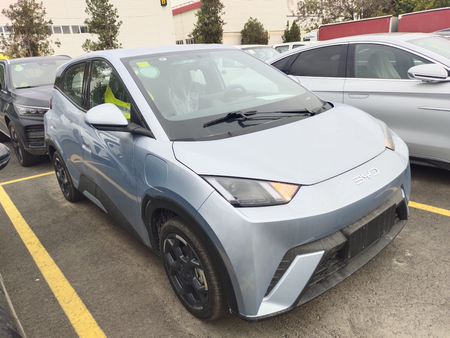 SROCHNO prodaetsya BYD SEAGULL 2025