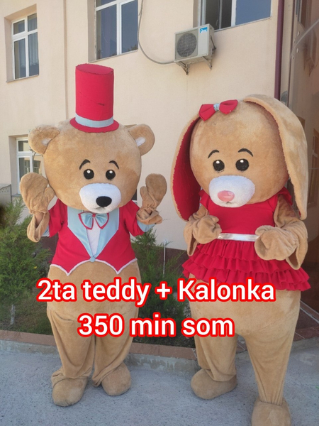 Ayiq ayiqlar teddy oformleniya