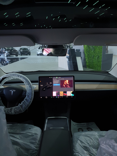 Tesla model 3 2021
