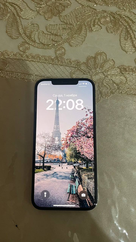Iphone 12 Pro Max