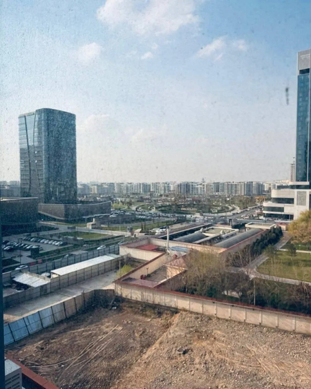 Nest One, 2/7/51, вид на парк