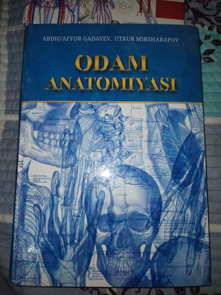 Odam Anatomiyasi
