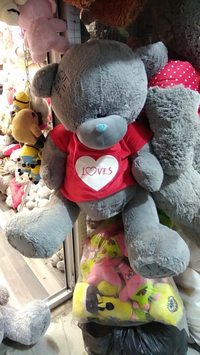 Teddy Teddi