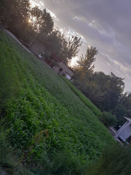 Срочно продаётся дом 15 соток