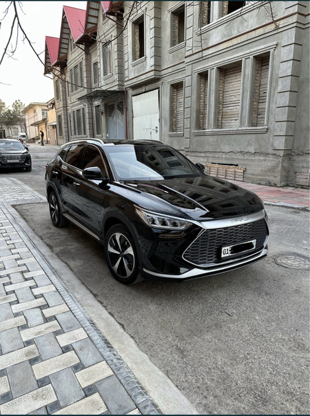 BVD song plus DM-i 2023 год