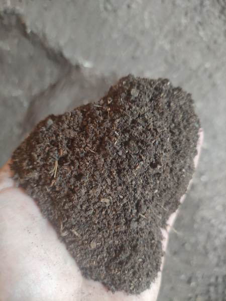 Bio gomus sotiladi