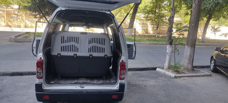 Зоо перевозки зоо такси zoo taxi