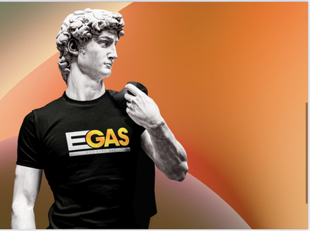 Uztanovka gaz i remont gaz