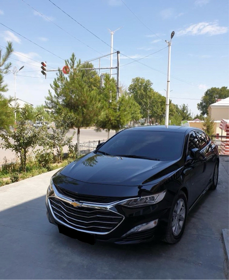 Malibu premier kraska tozza