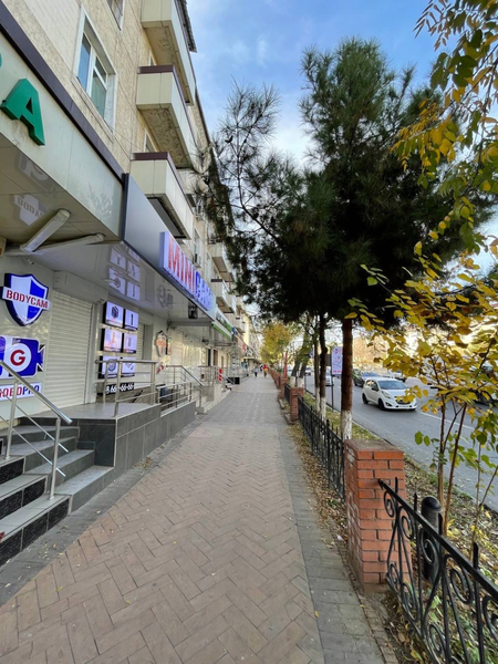 Улица Мукими Ориентир Адидас Продаёться Нежилой