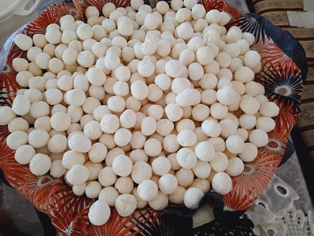 DOMASHNIY QURT SOTILADI faqat oladiganlar tel qsn