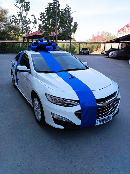 Автобантик бантик bantik лента МЕД ГОРОДОК