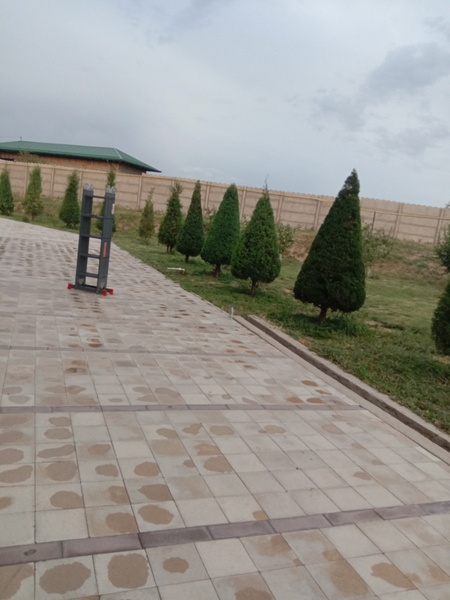 Archa qirqamiz ,  dorilash , lanshaft  , va boshqa xizmatlar bor .