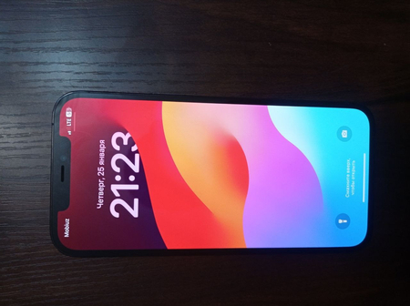 Iphone 12 pro max