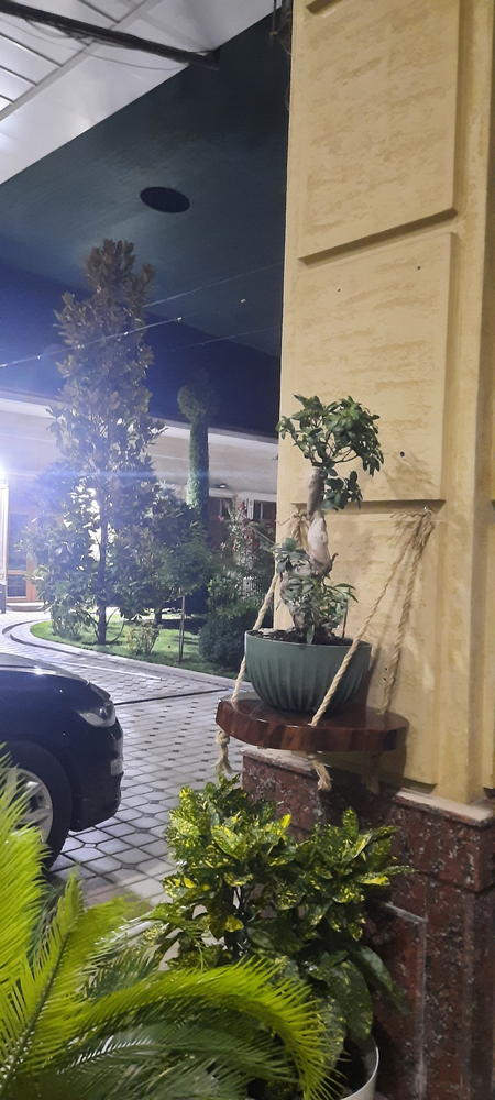 Soya setka Mikroklimat  Palif