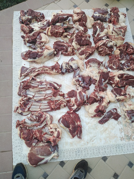 QASSOB КАССОБ Halol pokiza мясник