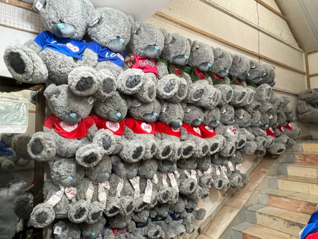 Teddy ayiqlari va yumshoq oyinchoqlar