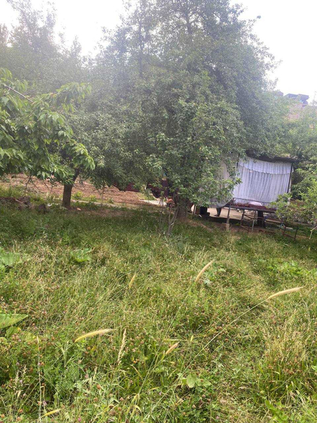 Dacha uchun yer (Земля для дачи)