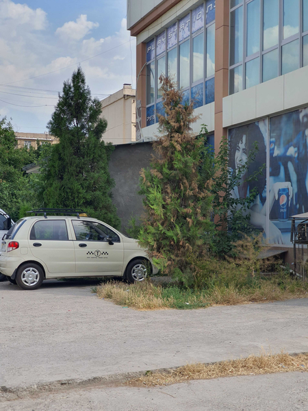 Supper Marketni 2-Qavati Arendaga beriladi!