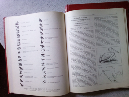 Красная Книга Узбекистана.