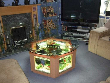 Аквариум, аквариумы на заказ, изготовление аквариумов, akvarium