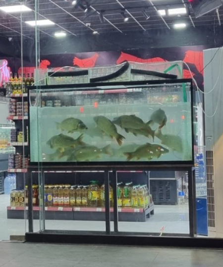 Srochno Akvaryum sotiladi 750 litir