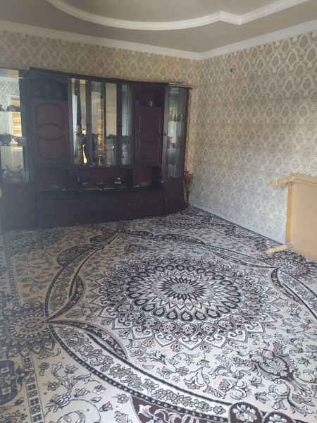 Xovli srochna yangi qurilgan