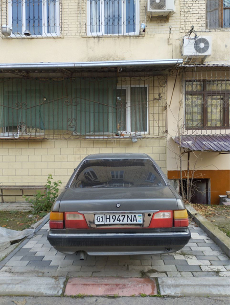 Audi 100. Коричнево-бронзовый цвет