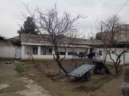Qoyliqda joylashgan 6 sotihli uy sotiladi