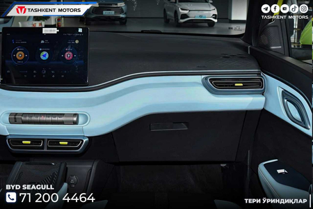 BYD SEAGULL харид қилишга улгуриб қолинг!