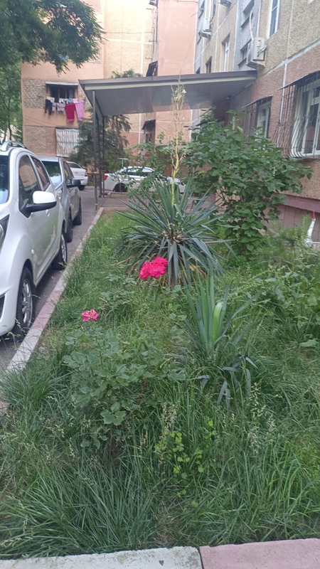 Чиланзар 18 3/1/5