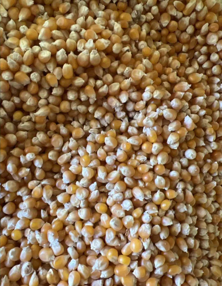 American popkorn bor 1 kg 17 000 so\\\'m