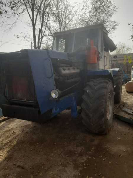 Кастопицат к 150