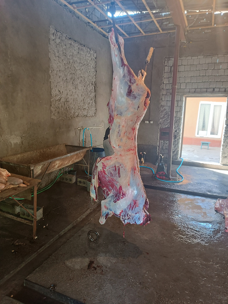 Qurbon xaytiga qassob xizmati