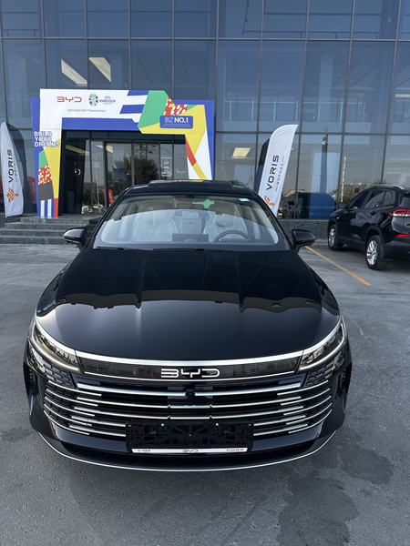 Byd chazor dm-i 2024