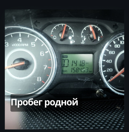 Jentra (голубой дельфин)