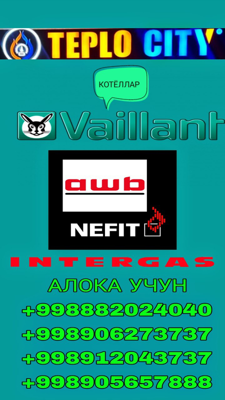 Котёл INTRGAS kokand
