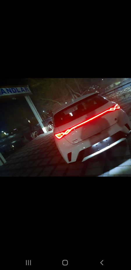 Byd dolphin (delfin)
