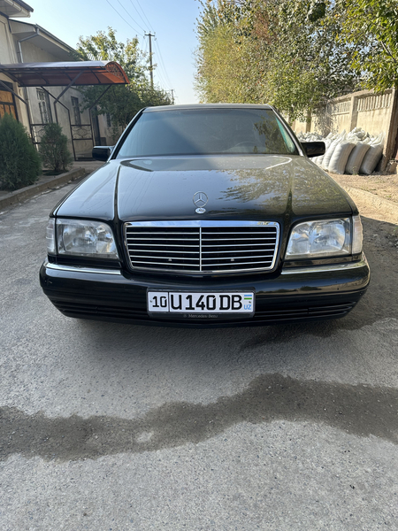 Mersades       1995 yil    104 mator