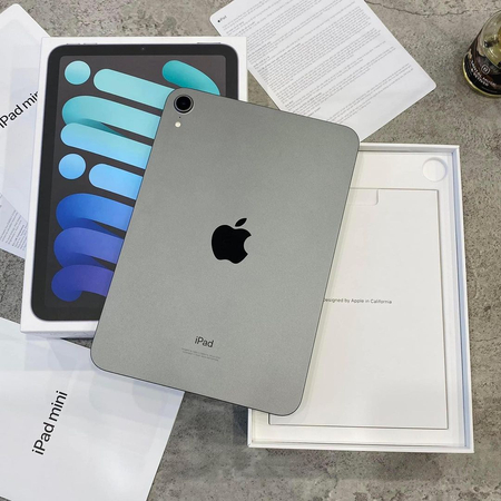 iPad 6 mini 64GB Wi-Fi 100% 27cycle