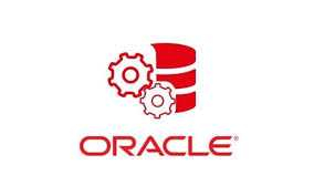 Oracle Database Developer, Java developer, Frontent - Backend kurslari