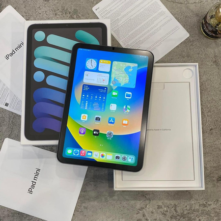 iPad 6 mini 64GB Wi-Fi 100% 27cycle