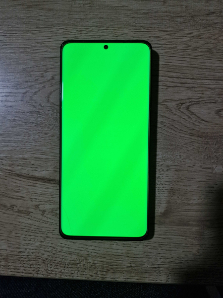 Samsung s 21 ultrs euro variant