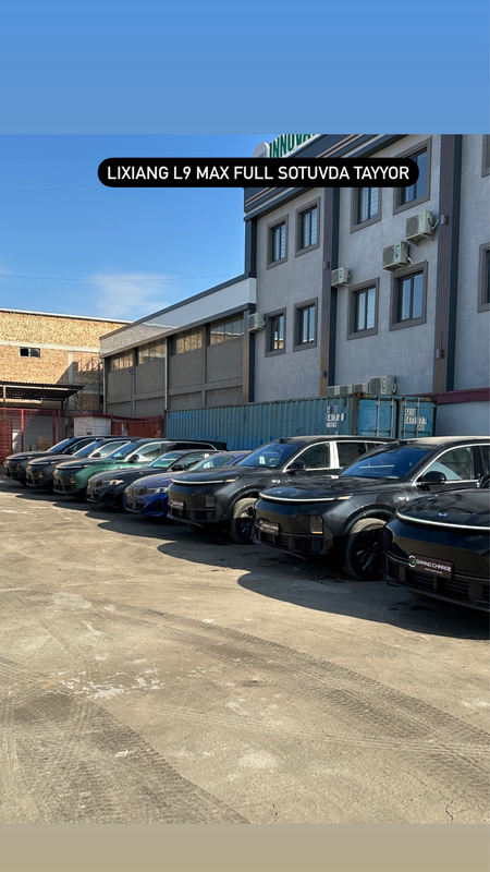 Li9 lixiang l9 max