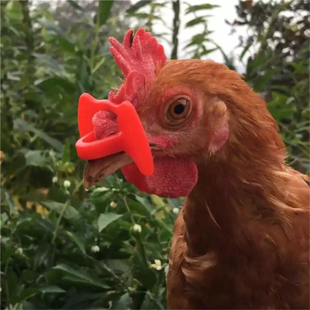 Ниппельные поилки для птиц