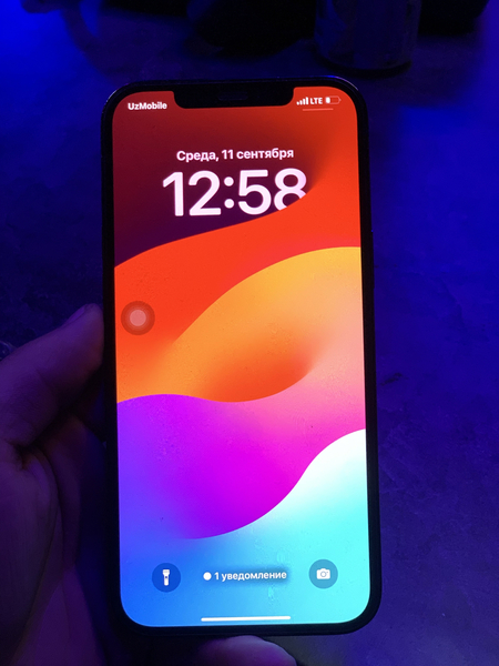 Iphone 12pro max
