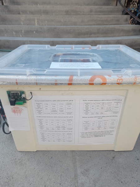 Inkubator 60 talik