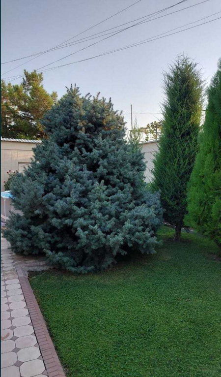 V2709 ПРОДАЕТСЯ ДОМ улице Сагбан 6 соток 6 комнат 2 этажный средний