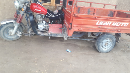 Lifan moto    2014
